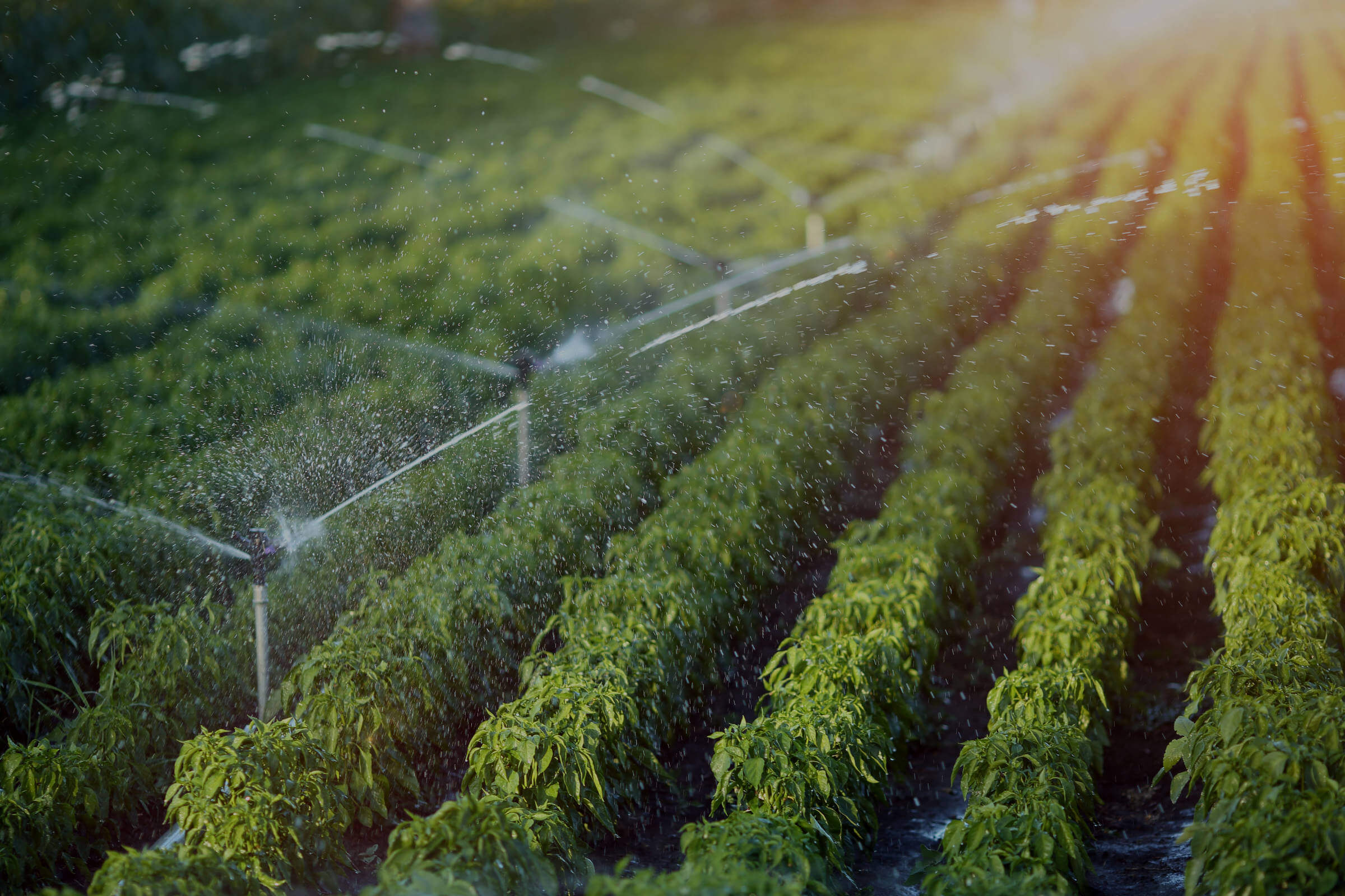 Home - Columbia Basin Development League